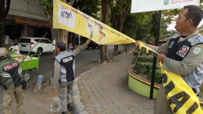 Satpol PP Lumajang Tertibkan Baliho Ilegal yang Dipasang di Sembarang Tempat - Surya.co.id