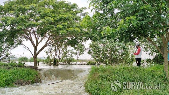 Banjir Luapan Kali Lamong Jebol Dua Tanggul di Gresik, 11 Desa di Cerme Terendam Air - Surya.co.id