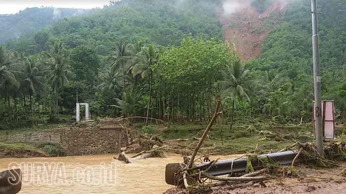 Banjir di Pacitan - Dua Anjing K9 Diterjunkan untuk Mencari Korban Banjir dan Longsor Pacitan ...