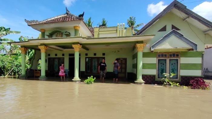 Banjir Kembali Menerjang Jember, Ketinggian Air Hingga 1 Meter Rendam ...