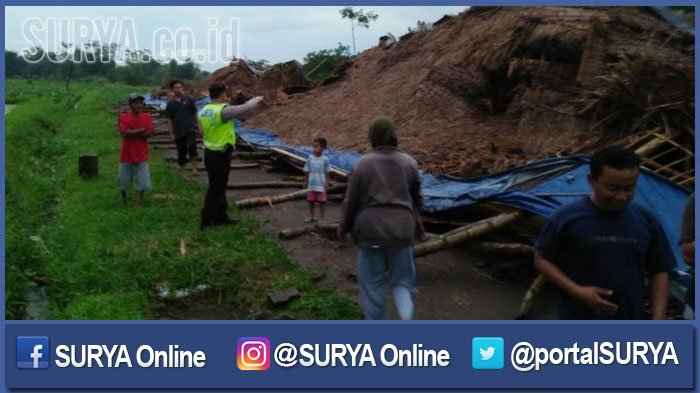 6 Kandang Ayam Roboh Diterjang Puting Beliung, Peternak Rugi Ratusan Juta - Surya.co.id