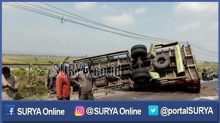 Truk Muat Sapi Terguling di Jalur Lamongan - Babat, Puluhan Sapi Kurban ...