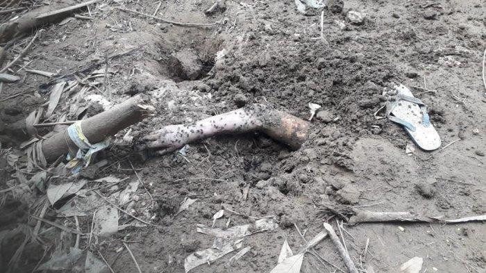 Heboh Tangan Menyembul dari Dalam Tanah setelah Banjir Jasinga Surut ...