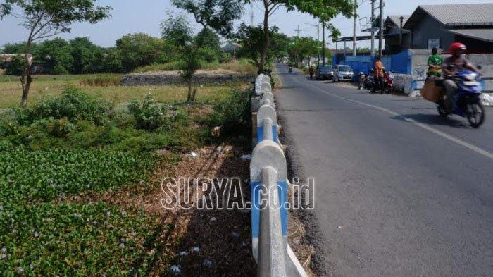 Jelang Musim Penghujan, Bersih-bersih Enceng Gondok di Sungai Wrati Kabupaten Pasuruan - Surya.co.id