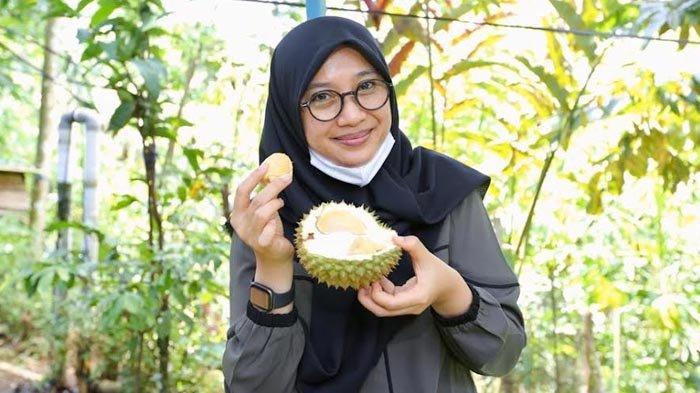 Sudah Panen Durian Boneng Asal Banyuwangi, Mulai Diburu Pembeli - Surya ...