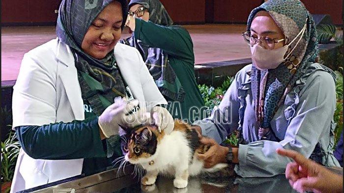 Cegah Penyakit Rabies, DKPP Kota Blitar Gelar Vaksinasi Gratis untuk ...