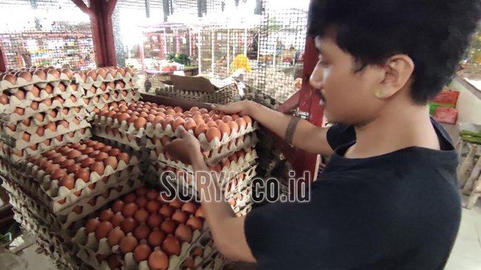Jelang Natal dan Tahun Baru 2025, Harga Telur di Kota Blitar Tembus Rp 30.000/Kg - Surya.co.id