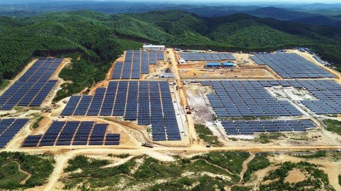 PLN NP Dorong Indonesia Lebih Hijau Lewat Green Energy Movement - Surya ...