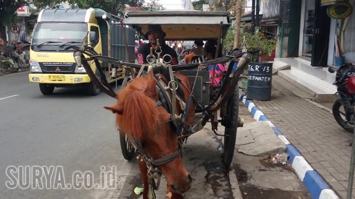 Riwayat Dokar Kepanjen, Bertahan Sejak Zaman Belanda - Halaman all ...