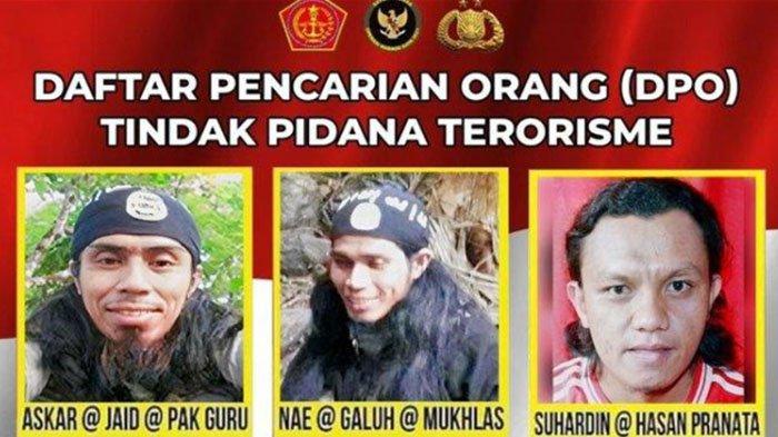 BIODATA 2 DPO Teroris MIT Poso yang Tersisa setelah Suhardin Ditembak ...