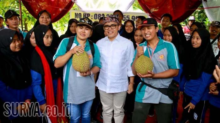 Buru Durian Merah, Ribuan Wisatawan Serbu Festival Durian di Banyuwangi ...