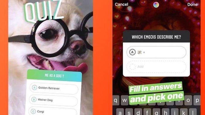 Fitur Quiz Sticker Baru di Instagram, Seperti Ini Cara Menggunduh dan ...