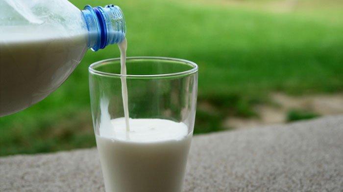 Pertama di Indonesia, KPSP Setia Kawan Pasuruan akan Kembangkan Susu ...