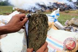 Masuk Bui, Suka Hisap Ganja Setiap Pulang Kerja - Surya.co.id