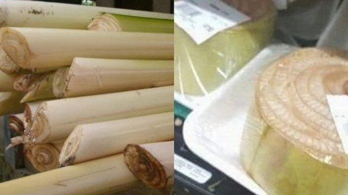 Gedebog atau Batang Pohon Pisang Dijual 85 Ribu di Amerika, di ...