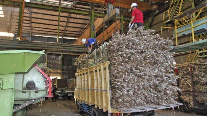 Progres Giling Tebu PTPN X 2022 Meningkat dari Capaian 2021 - Surya.co.id