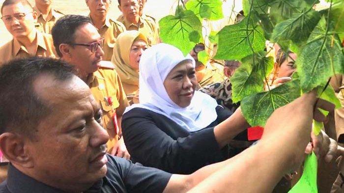 Gubernur Khofifah Tanam 'Pohon Berkah' dan Ajak ASN Pemprov Jatim Infaq dan Sedekah Selama ...