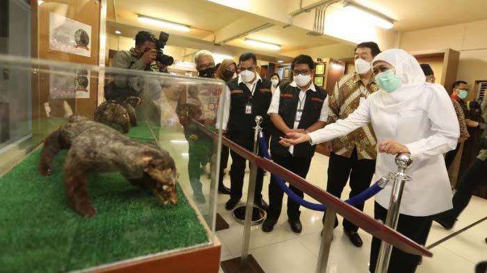 Kunjungi Pabrik Kopi Kapal Api di Sidoarjo, Khofifah Upayakan agar ...