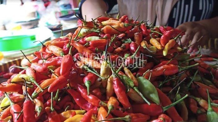 Di Kota Madiun, Harga Cabai Rawit Tembus Rp 100.000 Per Kilogram - Surya.co.id