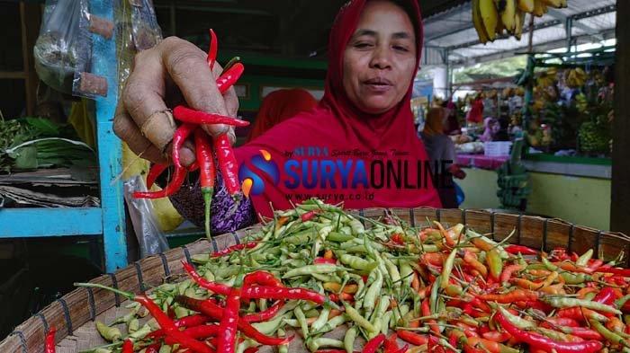 Stok Mulai Langka, Harga Cabai di Tuban Tembus Rp 60 Ribu/Kg - Surya.co.id