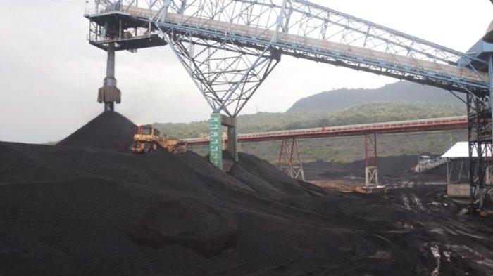 BUMA Australia Dapat Kontrak Baru Penambangan Batu Bara dengan Bowen ...