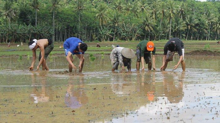 Program Live-in Siswa Kelas XI SMA St Albertus di Malang Raya, Hidup ...