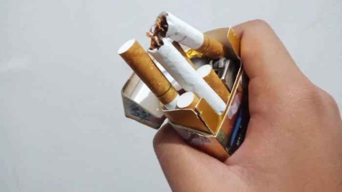 Mengurangi Jumlah Perokok Anak harus dari Akarnya, Tawaran Solusi ...