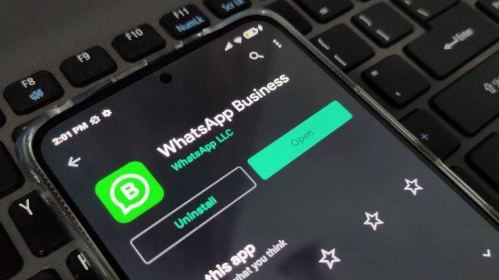 LANGKAH MUDAH Ubah WhatsApp Biasa ke WA Business, Cocok untuk Bisnis ...