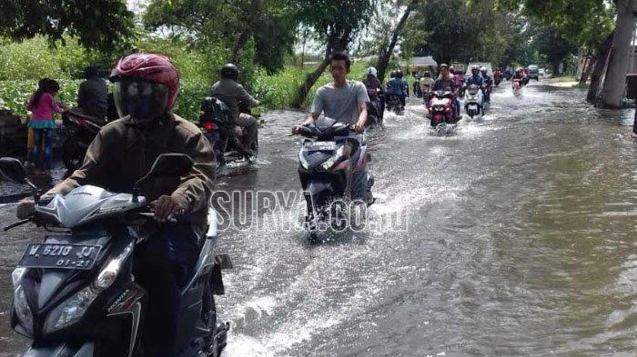 Kali Lamong Meluap, Jalan Raya Morowudi Gresik dan Lahan Pertanian Tergenang Banjir - Surya.co.id