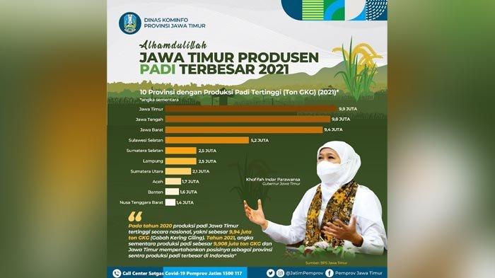 Jawa Timur Kembali Sebagai Penghasil Padi Terbesar di Indonesia - Surya.co.id