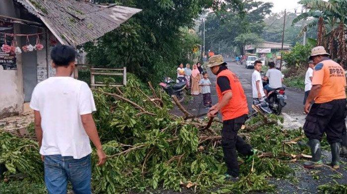 BMKG Juanda : Waspada Cuaca Esktrim saat Musim Pancaroba - Surya.co.id