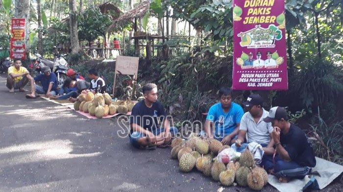 Kampung Wisata Durian Jember, Tak Cuma Disuguhi Buah Ini, Ada Juga ...