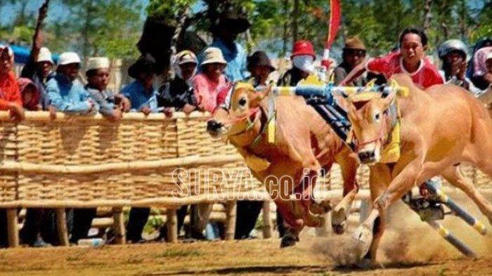KASAD Jenderal Dudung ke Bangkalan, Pangdam V/Brawijaya Siapkan 48 ...
