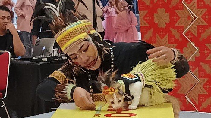 Hari Kucing Sedunia, Puluhan Kucing di Surabaya Ikuti Fashion Show ...