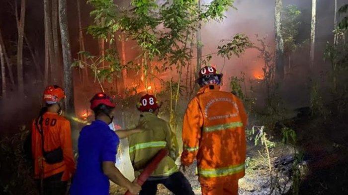 33 Kebakaran Hutan Terjadi di Trenggalek Selama Kemarau 2023, 25 Hektare Hutan dan Lahan Hangus ...