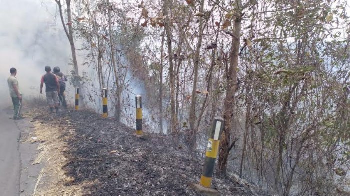 Hutan di Gunung Geger Pagak Kabupaten Malang Terbakar - Surya.co.id