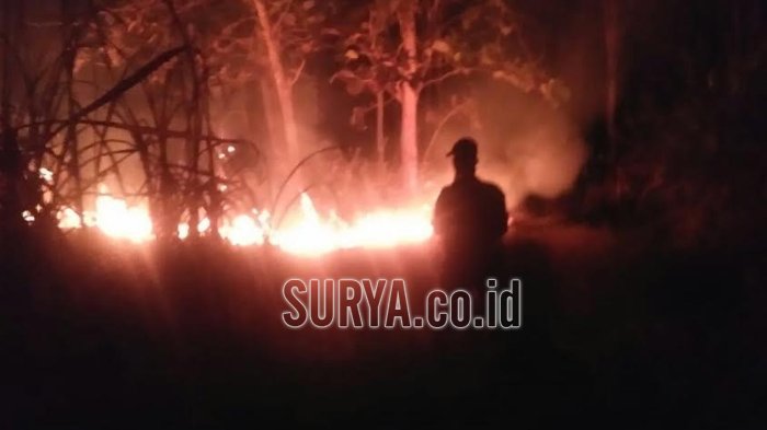 Kebakaran Hutan di Desa Winongo Tuban, Pelakunya Diduga Sosok Ini ...