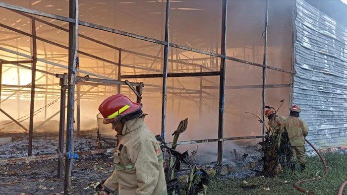 138 Ribu Mati Serentak, Kebakaran di Bojonegoro Rugikan Peternak Ayam Rp 2,8 miliar - Surya.co.id