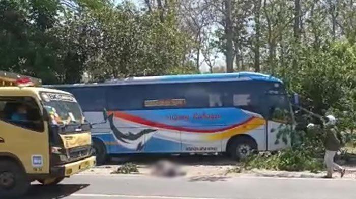 Kecelakaan Maut Di Madiun Bus Sugeng Rahayu Disebut Sebabkan