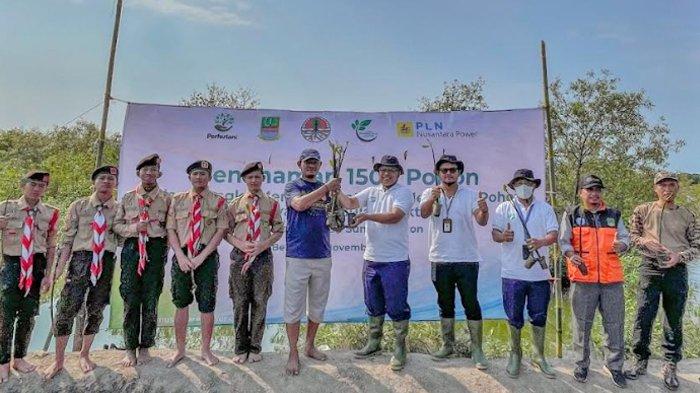PLN NP Tanam 100 Ribu Mangrove untuk Jaga Kelestarian Lingkungan dan ...