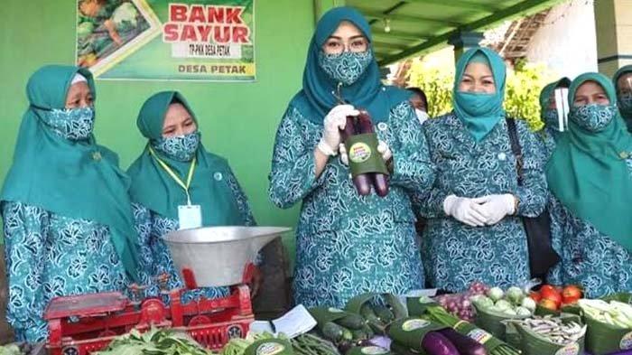 Warga Nganjuk Didorong Maksimalkan Pemanfaatan Pekarangan untuk Pemenuhan Gizi Keluarga - Surya ...