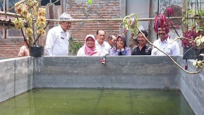 Terbantu Suburnya Klaster Budidaya Ikan Patin, Produksi Budidaya Ikan Trenggalek Meningkat ...
