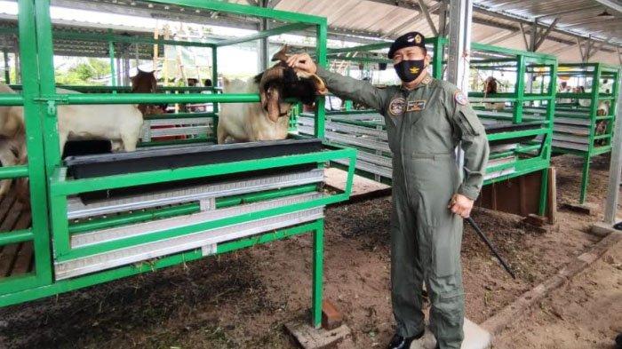 Mengintip Program Titip Angon dan Titip Kurban di Puspenerbal, Kemitraan Tentara dan Peternak ...