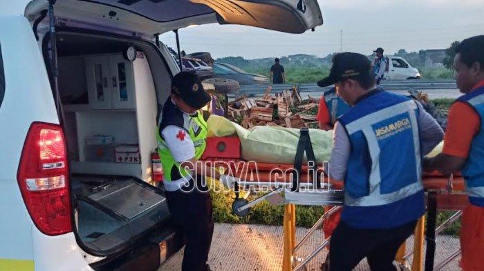 Kecelakaan Tunggal Truk di Tol Gempol-Pasuruan, Sopir Tewas, Muatan Jeruk Berceceran di Bahu ...