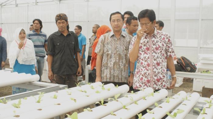 Investasi Puspa Agro Rp 350 Miliar, Pendapatan Cuma Rp 10 Miliar ...