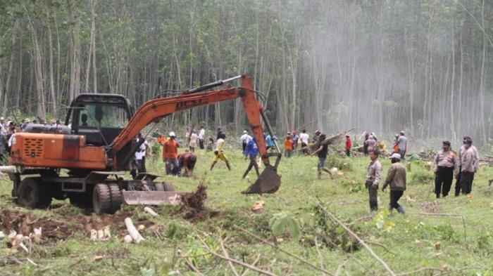 PTPN X Optimalkan Aset dengan Kembali Kelola Lahan 4,4 Hektare di ...
