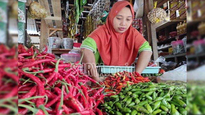 Harga Cabai Rawit di Kota Blitar Mulai Merangkak Naik, Kini Rp 20.000 Per Kilogram - Surya.co.id