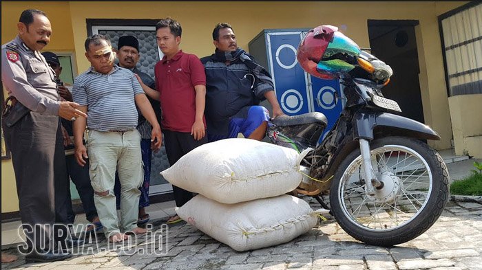 Dikira Tersesat, Pedagang Bakso di Pasuruan Malah Angkut Dua Sak Gabah ...
