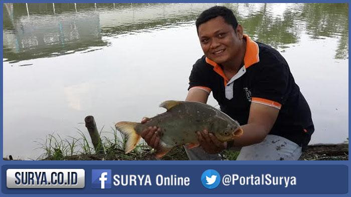Sensasi Memancing Ikan Monster di Monstero Pond - Surya.co.id