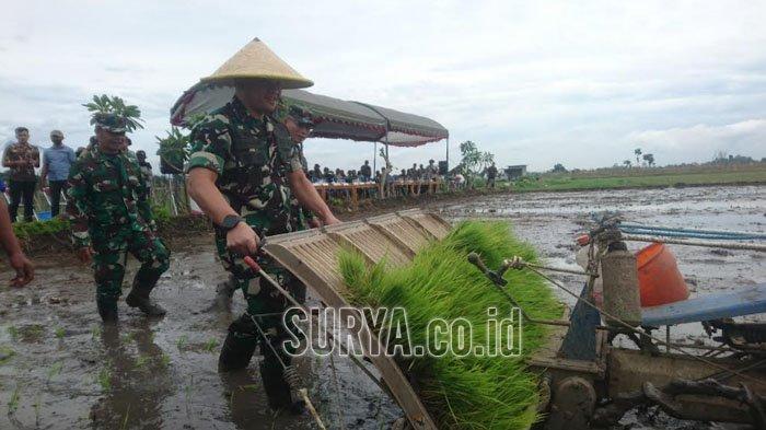 Mulai Tanam di Area Demplot, Kodim Tulungagung Kawal Pertanian Padi 36.000 Hektar Tahun 2025 ...